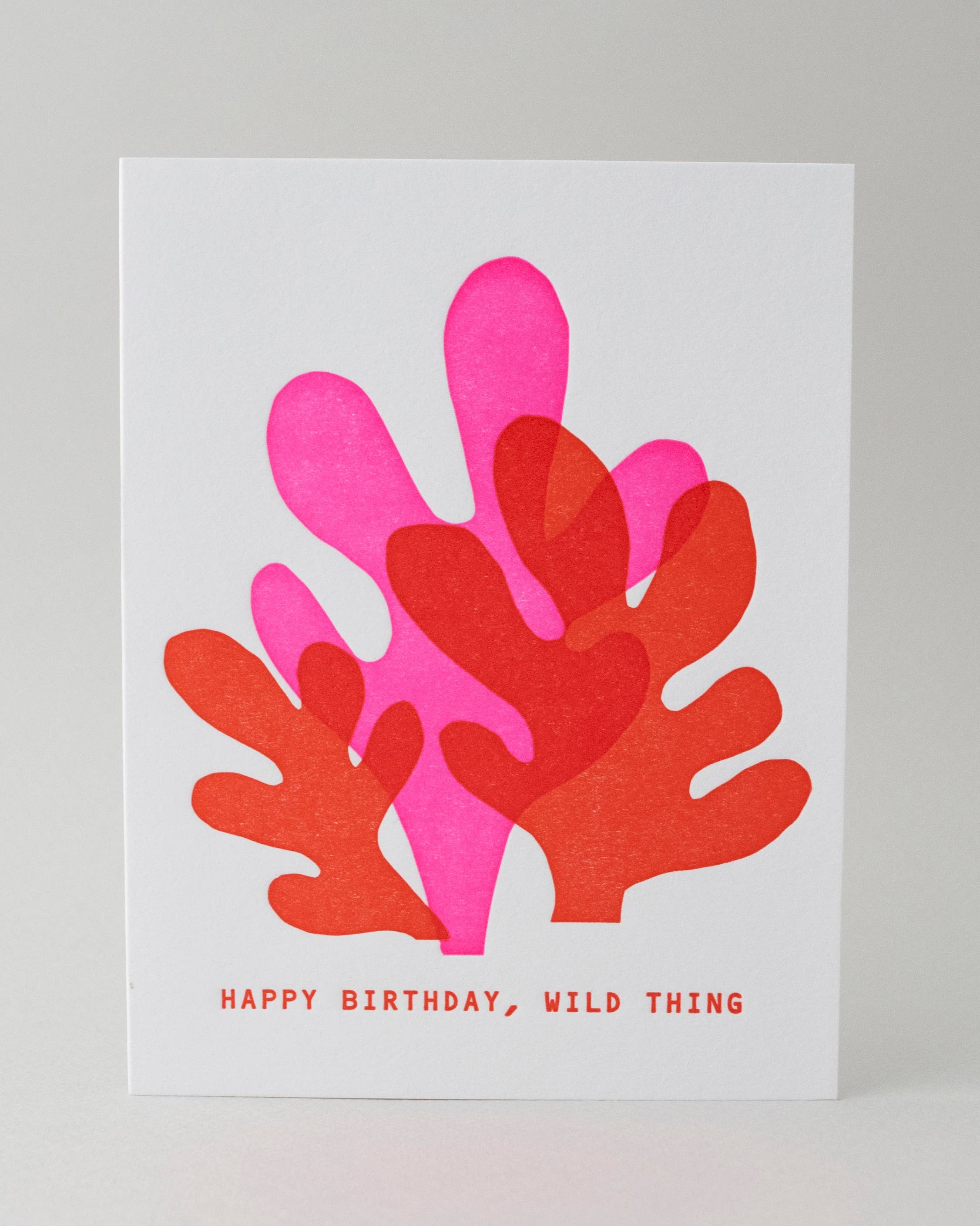 Happy Birthday Wild Thing Card – Lauda